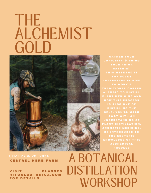 The Alchemist Gold // botanical distillation workshop